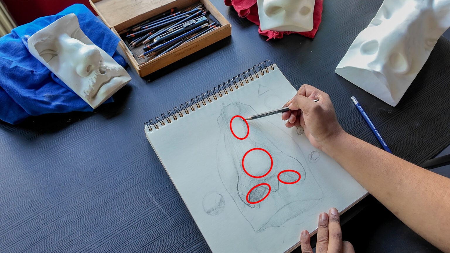 Tips and Techniques for Drawing Noses- Academy of Fine Art